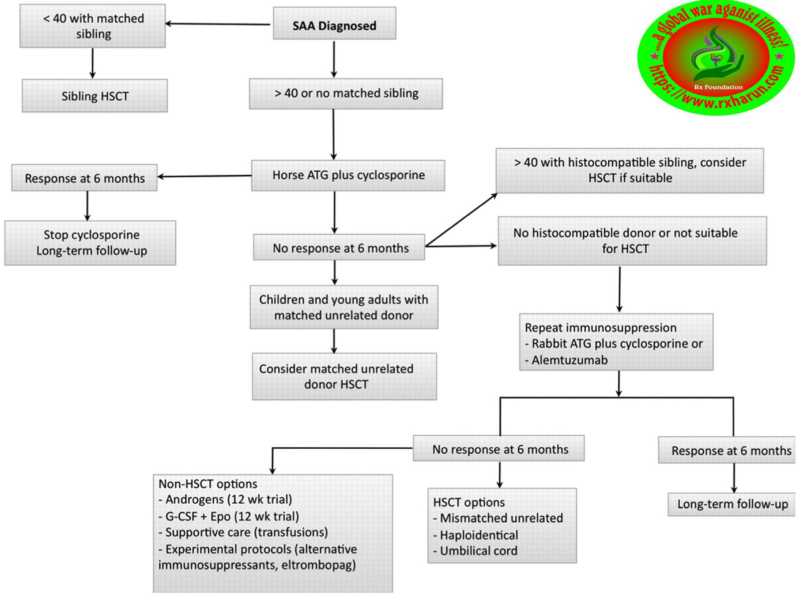 Aplastic Anemia; Types, Causes, Symptoms, Diagnosis, Treatment ...