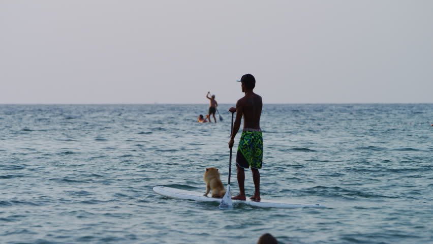 Asthenia; Types, Causes, Symptoms, Diagnosis, Treatment – illnesshacker